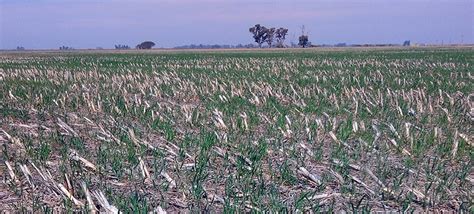 Yield Prediction Based On The Vegetation Index Esvi In Argentina
