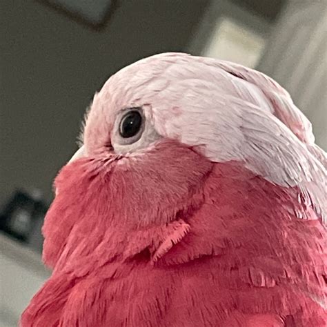 Isy1a9mqi9jvtoymkdi4