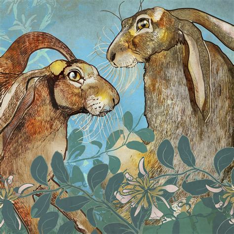 Hares In Honeysuckle Shelly Perkins Wildlife Art