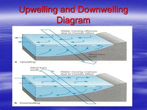 What Makes Coastal Upwellings And Downwellings Occur At Laura Black Blog
