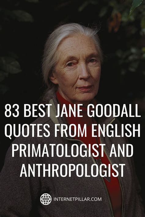 83 Jane Goodall Quotes From English Primatologist And Anthropologist