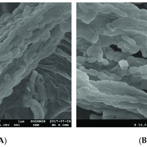 Surface Area Pore Size And Pore Volume Of The Catalyst Download Table