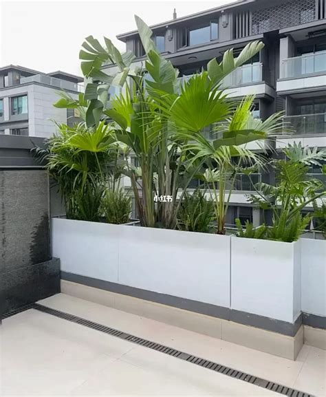 花箱种植｜低成本阳台种植 花瓣网