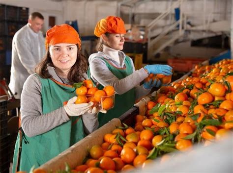 Post Harvest System Overview — Postharvest Technologies