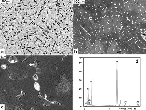 Micrographs And Eds Spectrum A Optical Micrograph Showing The