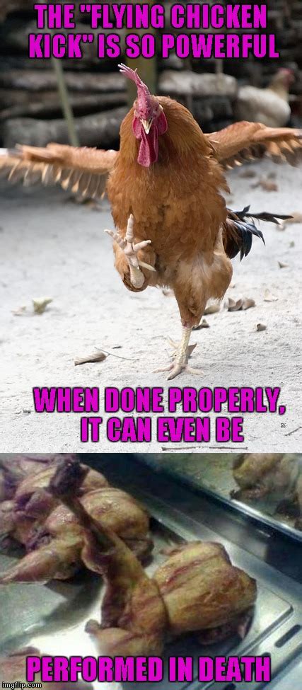 Funny Chicken Memes