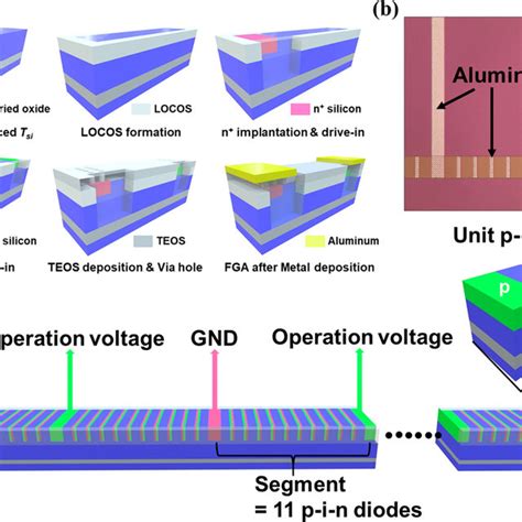 A The Fabrication Process Of The Unit P I N Diode B The Optical