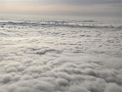 How Microbes Living In The Clouds Affect Our Lives Cloud Appreciation
