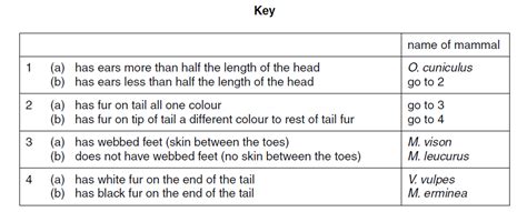 Igcse Biology 0610 1 2 Concept And Uses Of Classification Systems Igcse Style Questions Paper 2