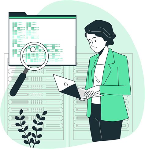 Audit And Assurance Assistance