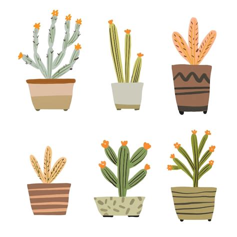 Premium Vector A Set Of Cactus Pots With Different Designs