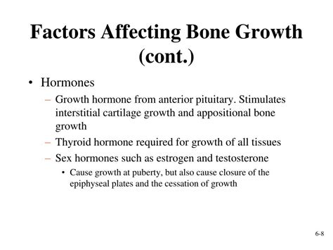 Ppt Growth In Bone Length Powerpoint Presentation Free Download Id