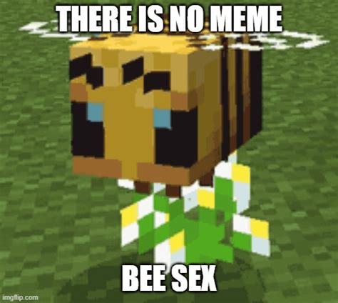 Bee Sex Rminecraftmemes