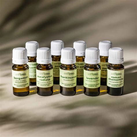 Plant Extracts International