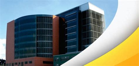 Dpsa Finalising Digital Policy Framework To Drive Public Service