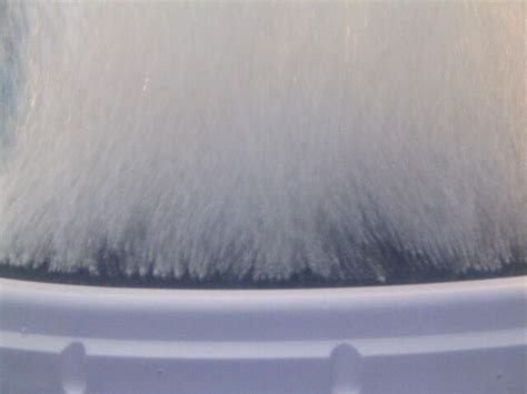 Chemistryfine Bubble Diffusers Handwiki