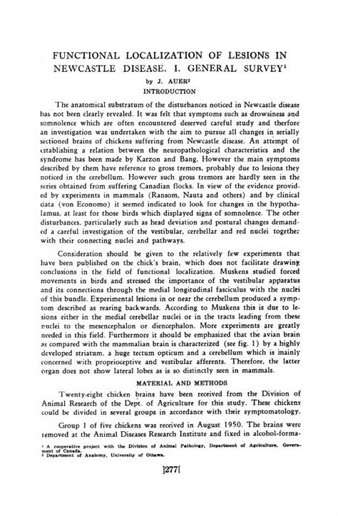 Pdf Functional Localization Of Lesions In Dokumentips