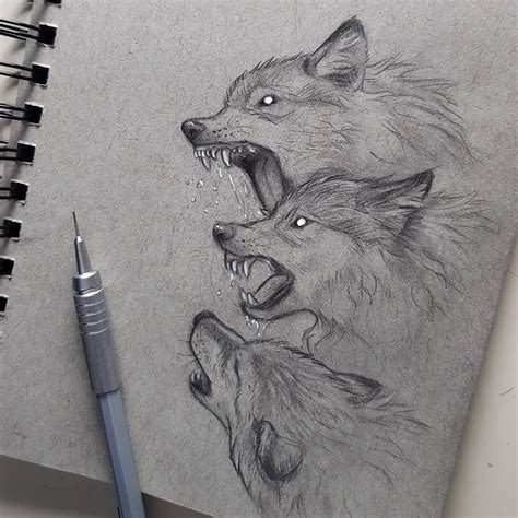 Angry Wolves Wolf Art Drawing Wolf Drawing Wolf Sketch