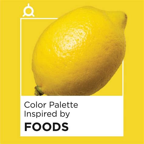 Food Inspired Goprotoz Global Uiux Design Agency Facebook