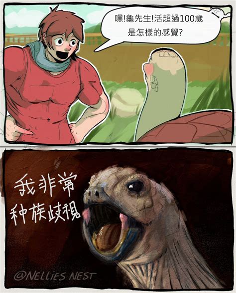 【nellies Nest翻譯】長壽的感覺