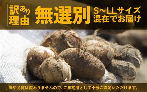 【訳あり】【年内発送】越前大野の里芋 5kg 無選別 農家直送 福井県大野市｜ふるさとチョイス ふるさと納税サイト