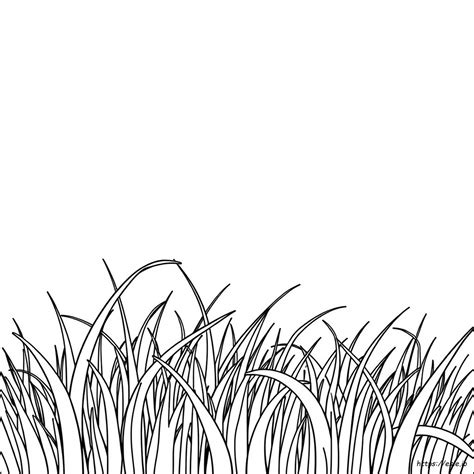 Grass Coloring Pages