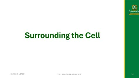 Cell Structure And Function Cambridge Igcse Biology Pdf
