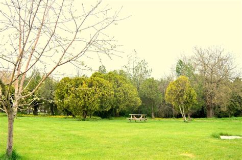 Yard View Images Free Download On Freepik