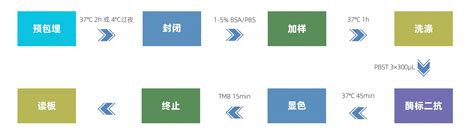 Gerealtech 抗体定制 抗体工程 组学服务