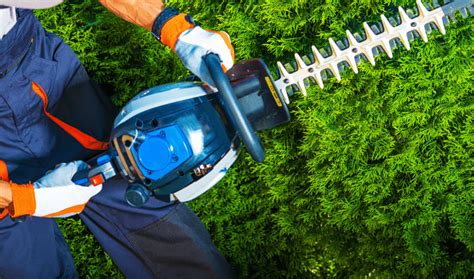 Ses Wildfire Protection And Prevention Offers Hazardous Tree