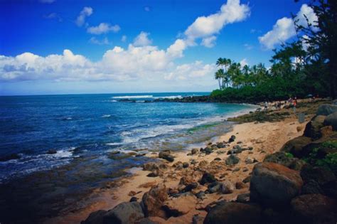 Laniakea Beach Haleiwa 2021 All You Need To Know Before You Go With Photos Tripadvisor
