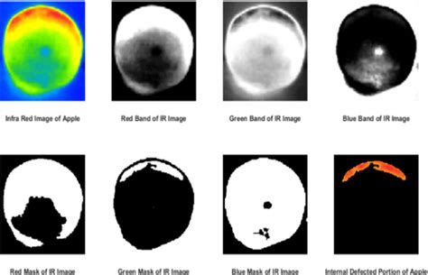Segmentation Of Healthy Region Of Apple Sample 2 Download Scientific Diagram