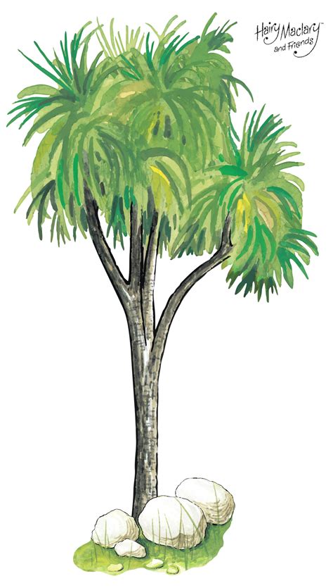 Hairy Maclary Cabbage Tree Wall Decal Your Decal Shop