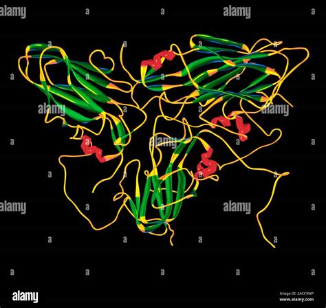 Foot And Mouth Disease Protein Computer Artwork Of A Protein From The