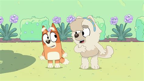 Bingo And Judo By Matuta2002 On Deviantart