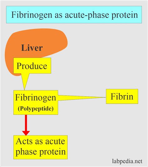 Fibrinogen Factor I Afibrinogenemia Dysfibrogenemia
