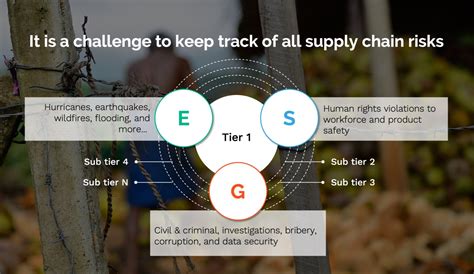 15 Fundamentals For Supply Chain Esg Everstream Analytics