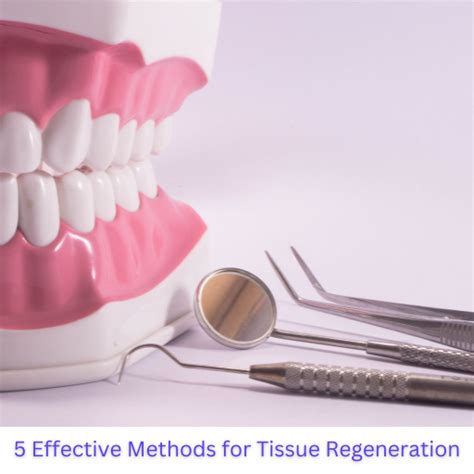 Tissue Regeneration 5 Effective Methods