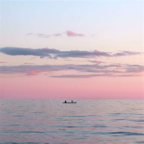 Natasha Etheridge On Linkedin Summernights Summertime Summerfun