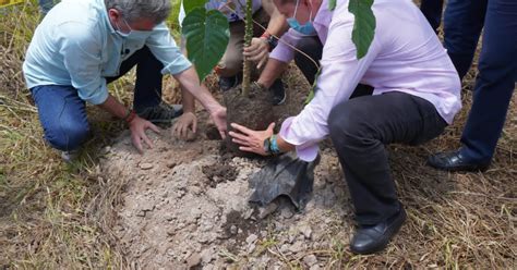 La Iniciativa Del Gobierno Para Incluir A La Población Carcelaria En El Cuidado Del Medio