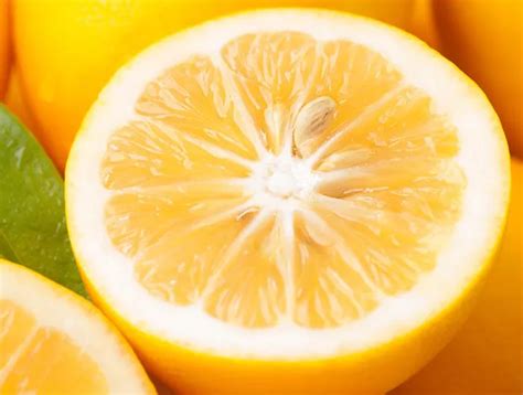 Quick Tip Meyer Lemons Center For Science In The Public Interest