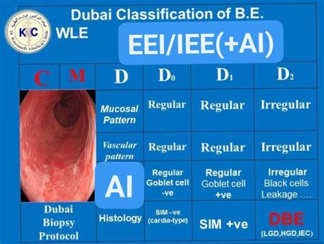 M Azzam Kayasseh On Linkedin Dubai Classification Of Barretts Esophagus Project Dr M Azzam