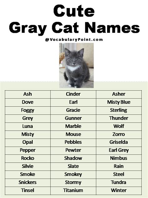 Purrfectly Grey Unique Cat Names For Your Feline Friend
