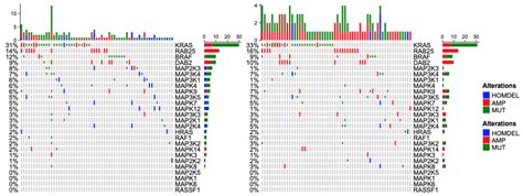 Draw Separate Right Annotation Plot For Each Column Split Section In Oncoprint · Issue 588