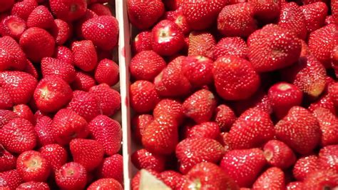 Kako Se Pravi Rumenko I Rumenko I Frikom Youtube