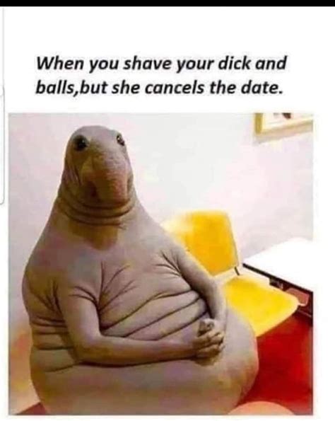 When You Shave Your Dick And Balls But She Cancels The Date America