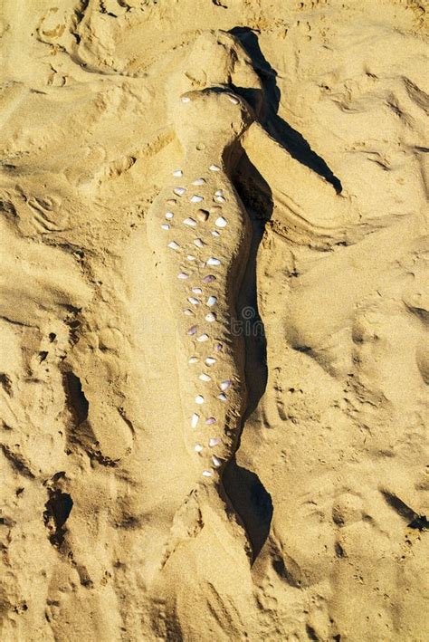 Mermaid Made Of Sand And Shells Stock Image Image Of Sunny Sandy 270802419