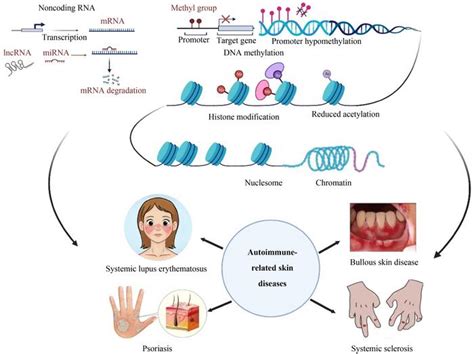 Attached File Image Eurekalert Science News Releases