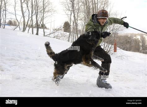 Frozen Horror Movie Wolves At Linda Platt Blog