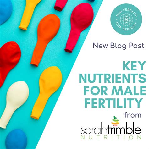 Key Nutrients For Male Fertility By Sarah Trimble Nutrition Nua Fertility